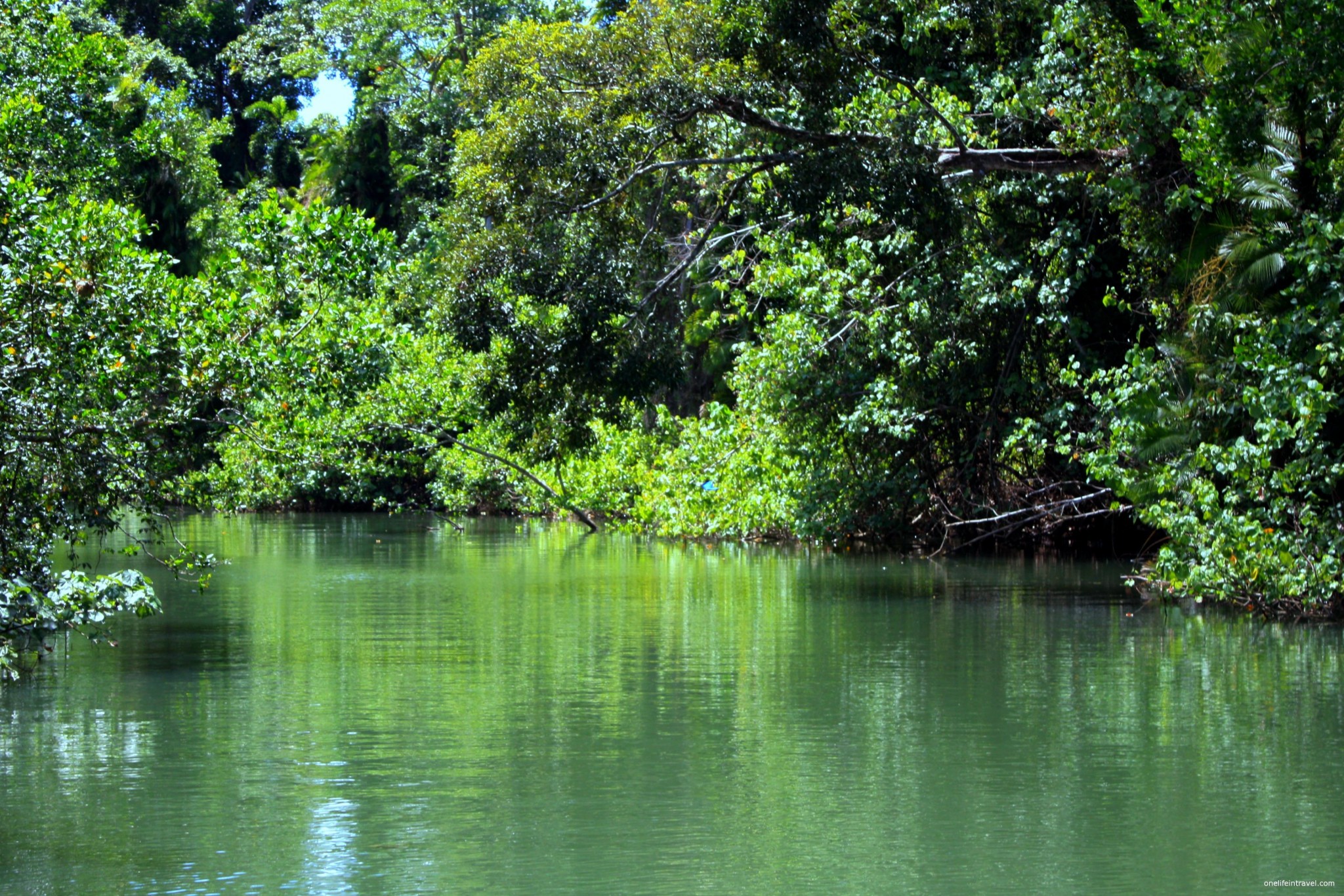 Il Queensland e la foresta pluviale di Daintree - One Life in Travel