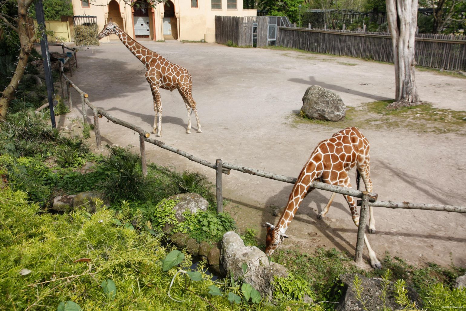Visita al Bioparco di Roma - One Life in Travel