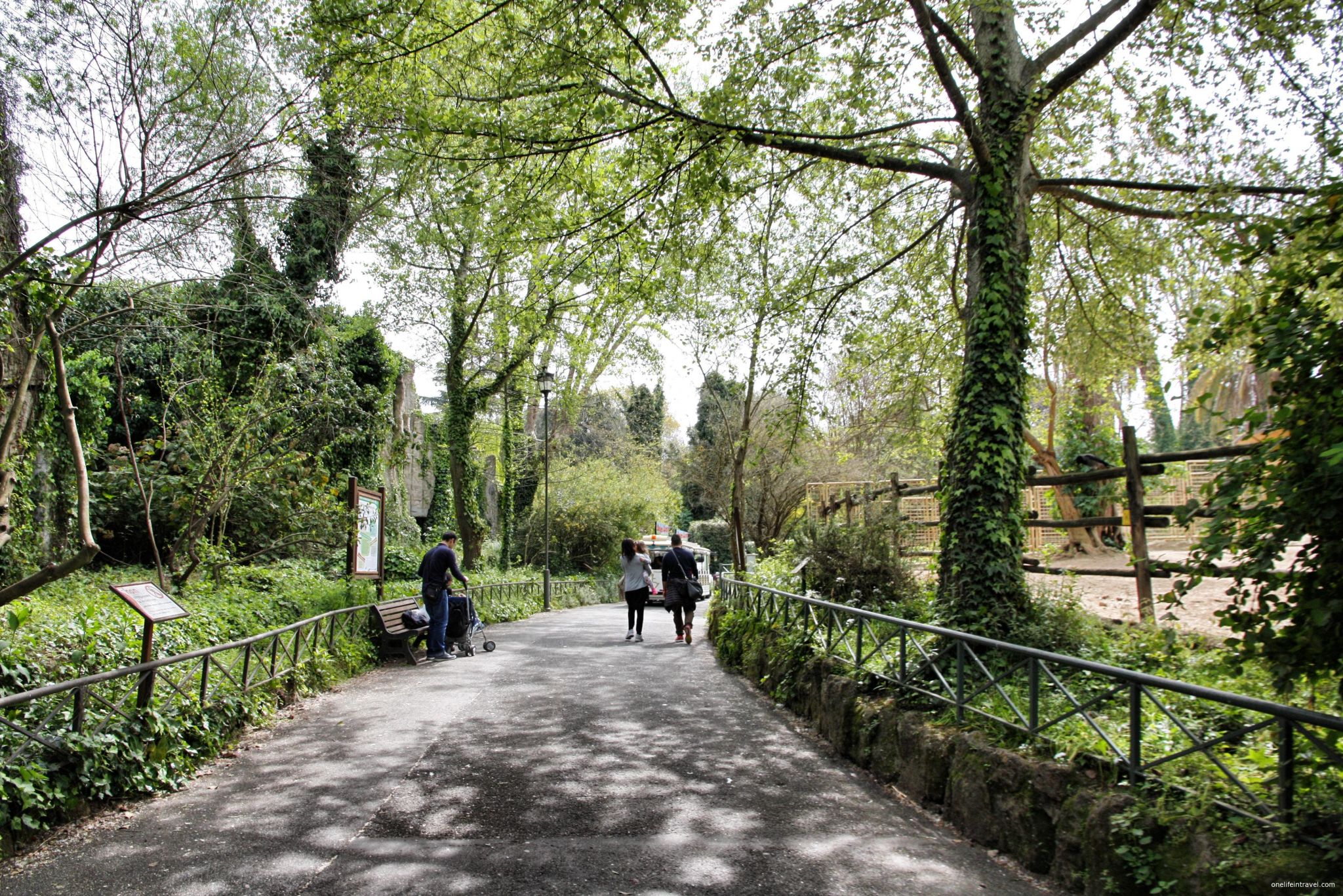Visita al Bioparco di Roma - One Life in Travel
